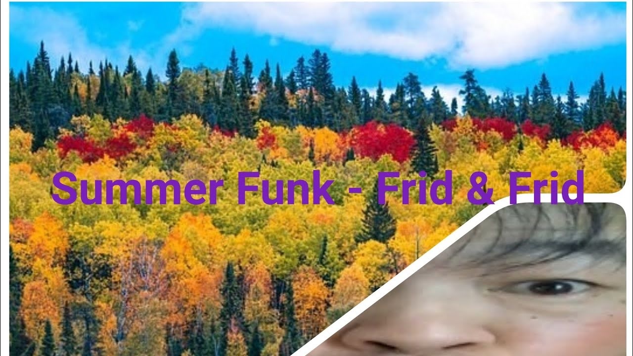 Summer Funk - Frid & Frid - ニコニコ動画