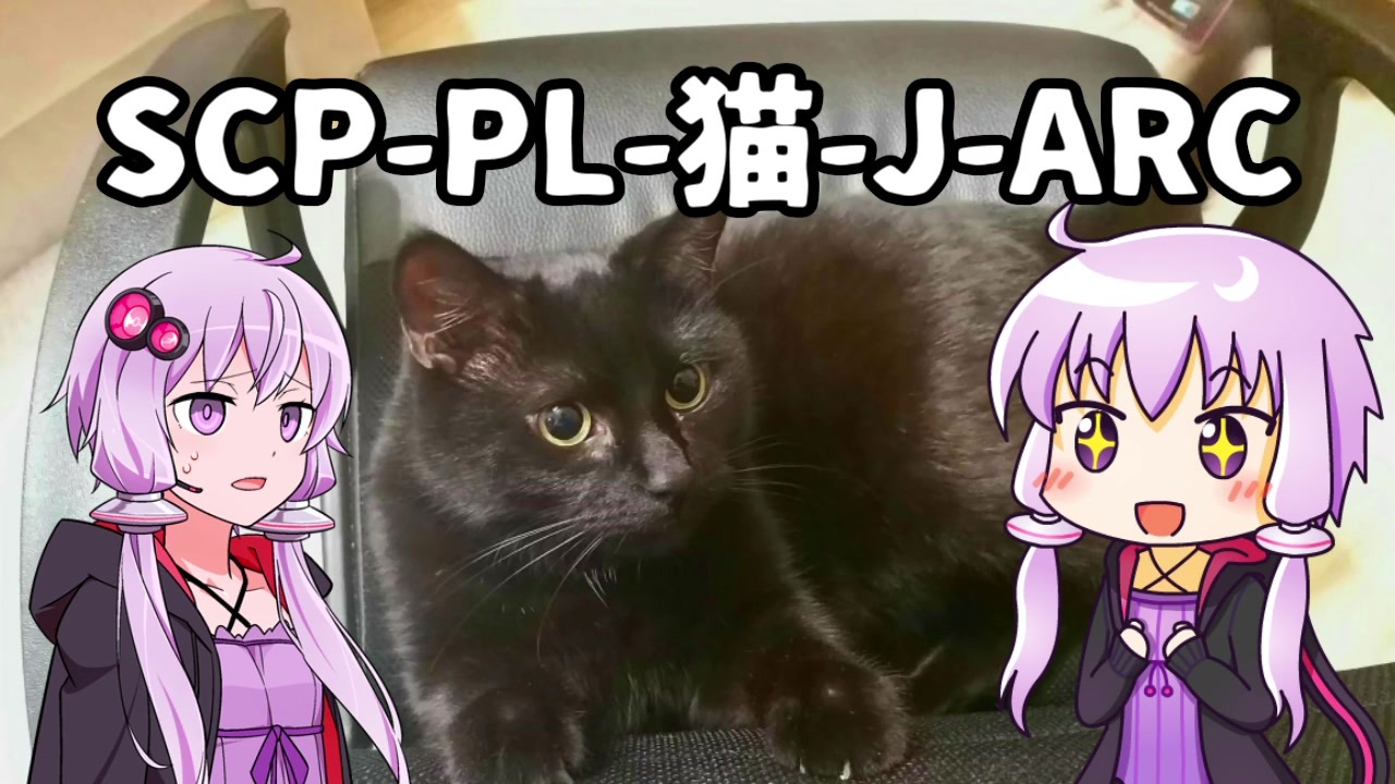 【結月のSCP語り 第12回】SCP-PL-猫-J-ARC - ニコニコ動画