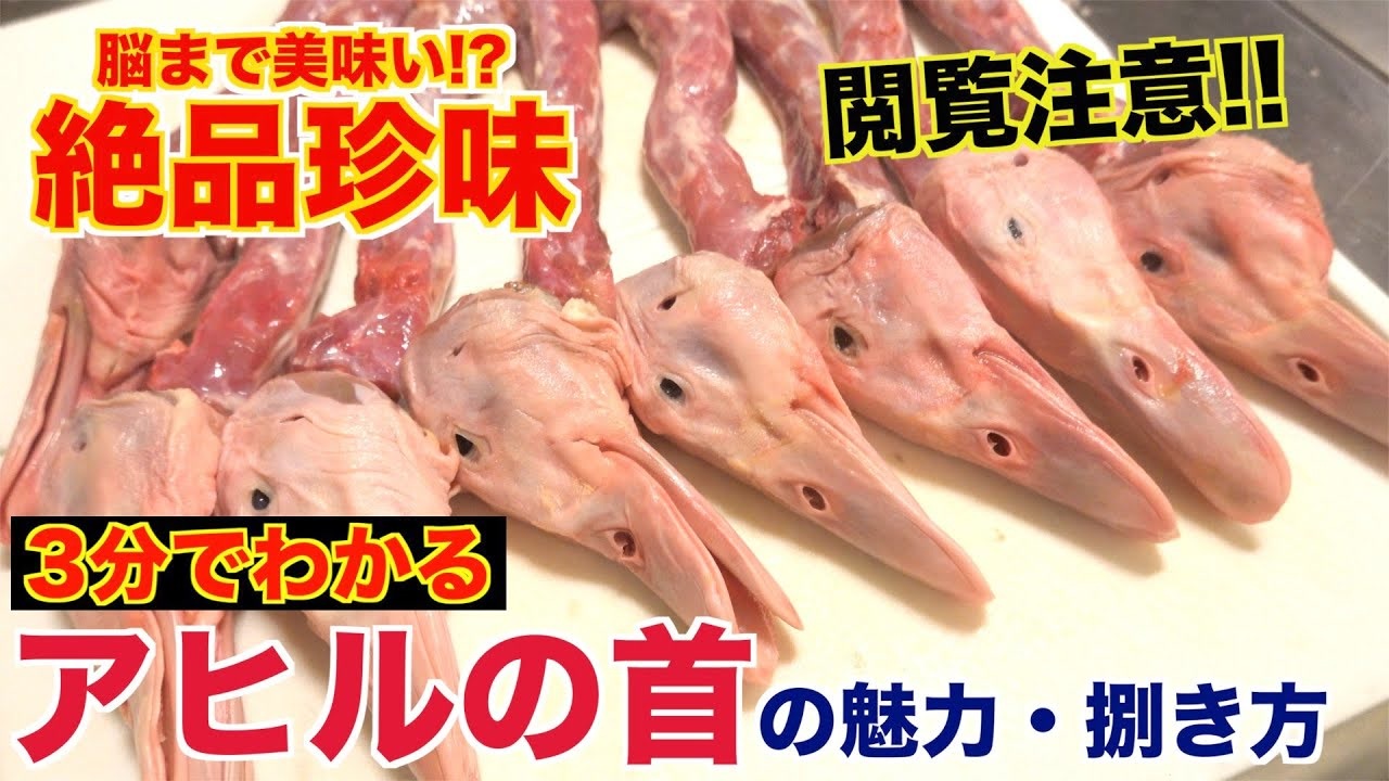 【奇食】アヒルの顔と首の捌き方！！ ニコニコ動画