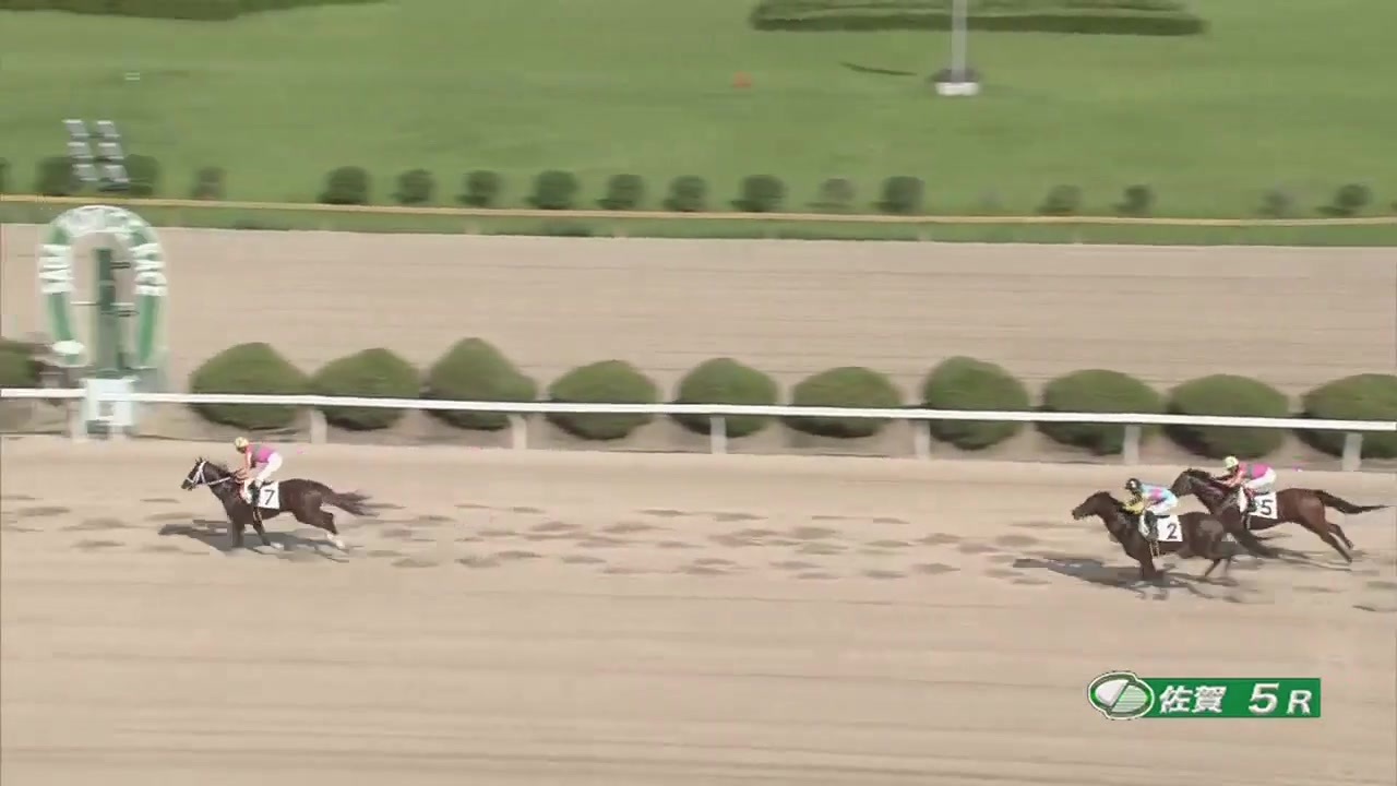 2021年7月20日佐賀競馬5R JRA交流 えびの特別(九州産) テイエムラッシュ - ニコニコ動画