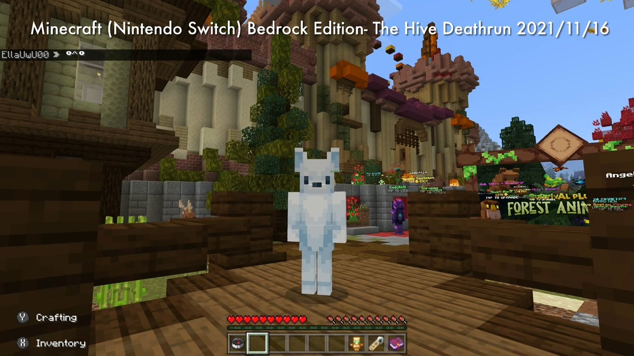 Minecraft(Nintendo Switch) Bedrock Edition Ver. 1.17.30 The Hive ...