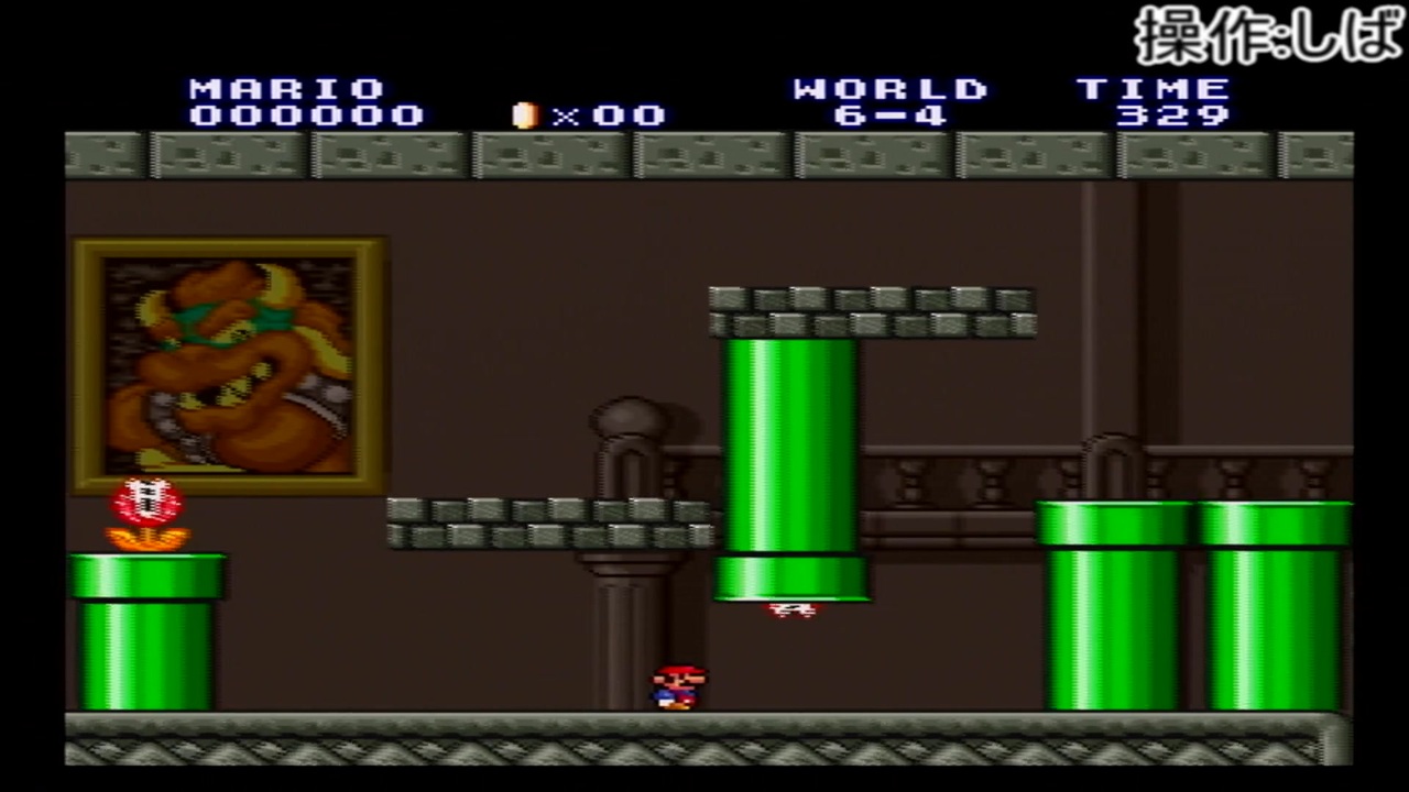 2人でマリコレ制覇実況！マリオ2編その11 - ニコニコ動画