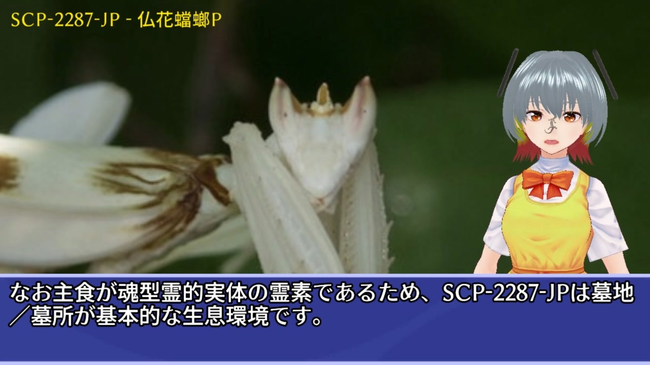 SCP-2287-JP - 仏花蟷螂 - ニコニコ動画