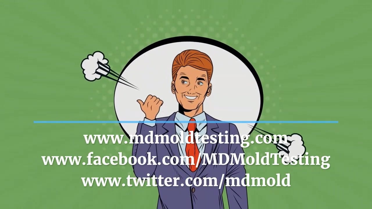 MD Mold Testing-Real Customer Testimonials - ニコニコ動画