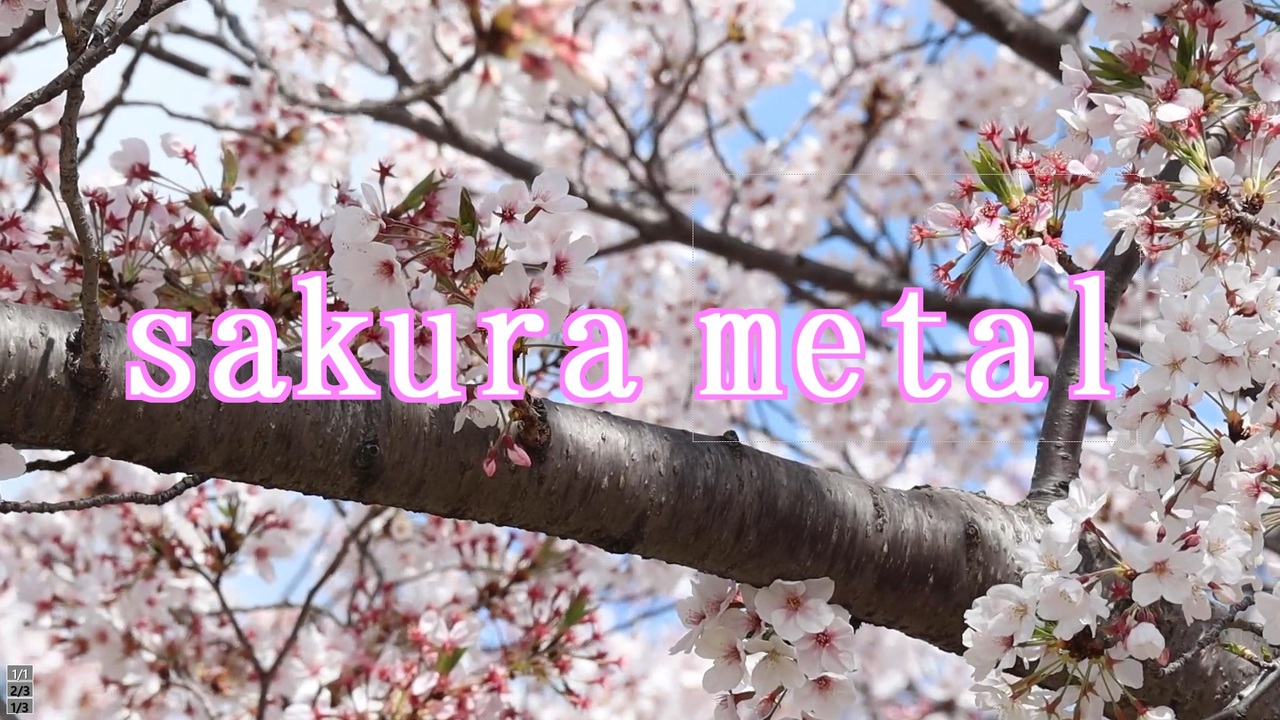 【sakura metal／さくら cover】和楽器で演奏してみた - ニコニコ動画