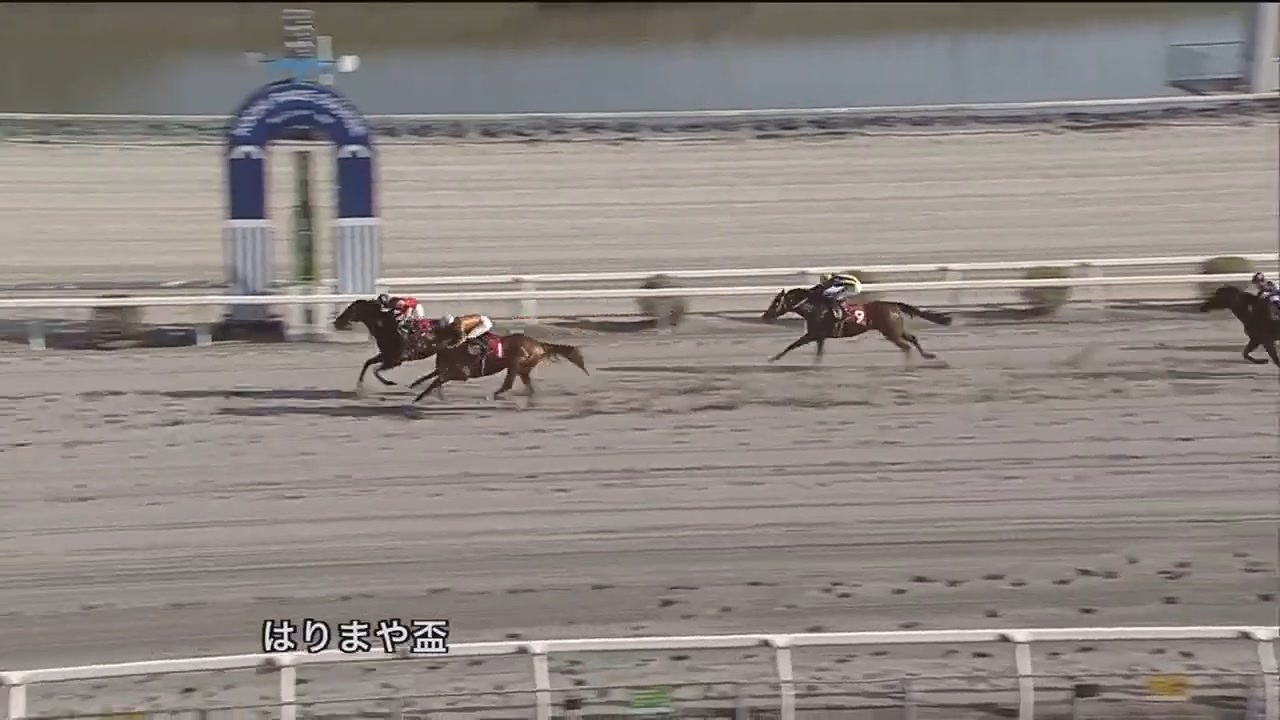 2022年3月16日高知競馬3R JRA交流競走 はりまや盃(JRA2勝クラス・A-2組以下) ダノンジャスティス - ニコニコ動画