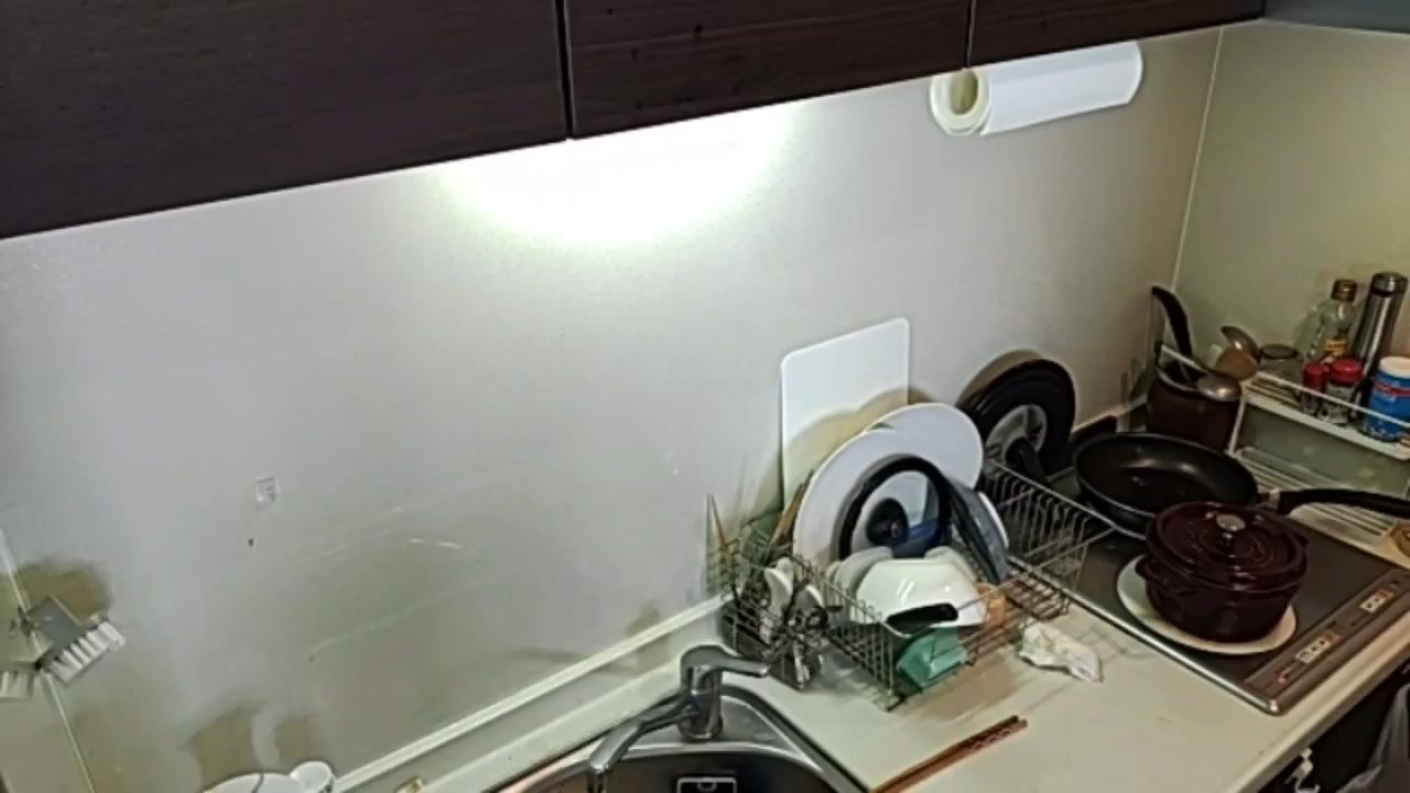 家族で時事放談570目【日本とフランスは手打ちをした？】日本では公正な裁判を受けられないと逃亡したゴーン被告に国際逮捕状/フランス検察【仏 ...