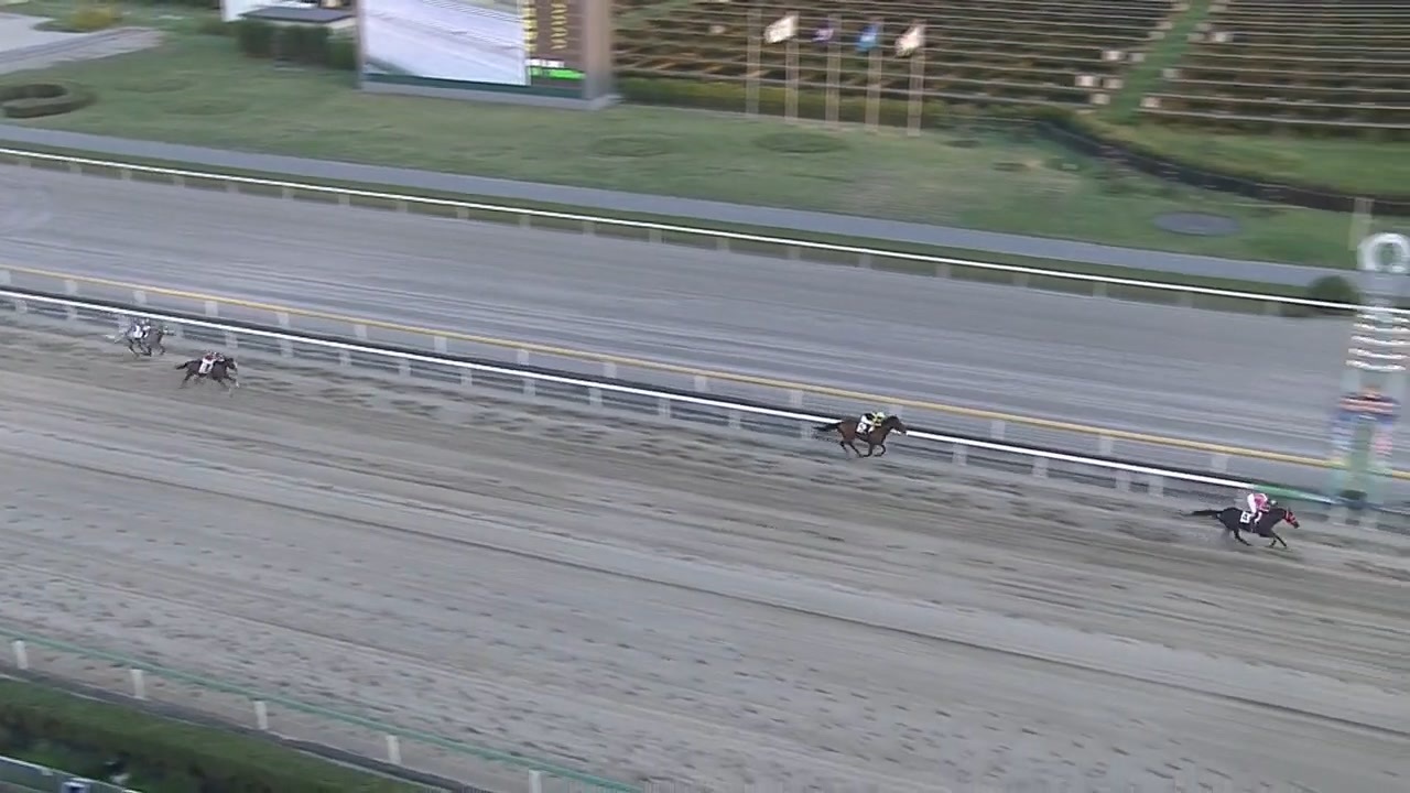 2022年7月22日船橋競馬8R ひまわり賞(OP) エメリミット - ニコニコ動画