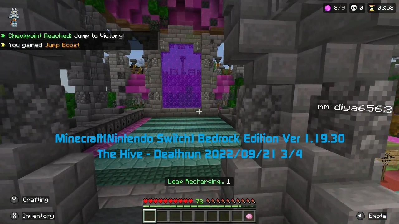 Minecraft (Nintendo Switch) Bedrock Edition Ver. 1.19.30 The Hive ...