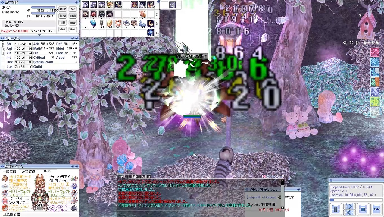【ro】ルーンナイトが試練の迷宮を下る（その5） 不死属性相手でもいけるんです ニコニコ動画