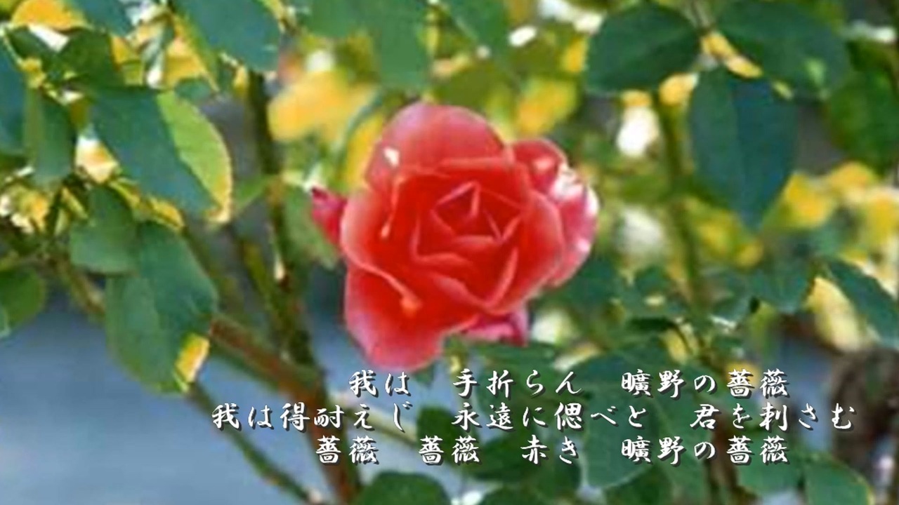 ウェルナーの野薔薇 すずきつづみAI（CeVIOAI) - ニコニコ動画