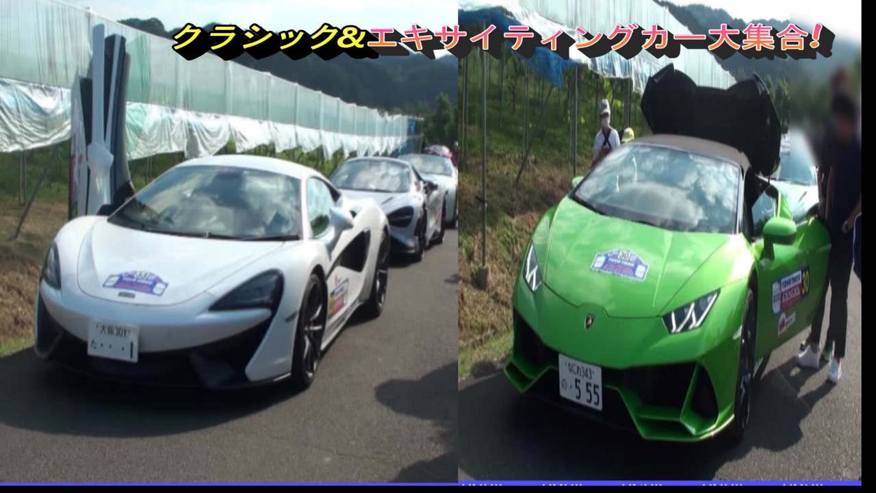 【TOYOTIRES NCCR 2022】クラシック＆エキサイティングカー大集合!ガルウィングに興奮する母、エンジン音が怖いあい - ニコニコ動画