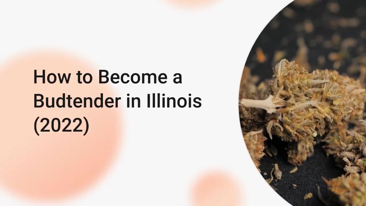 How to Become a Budtender in Illinois (2022) - ニコニコ動画