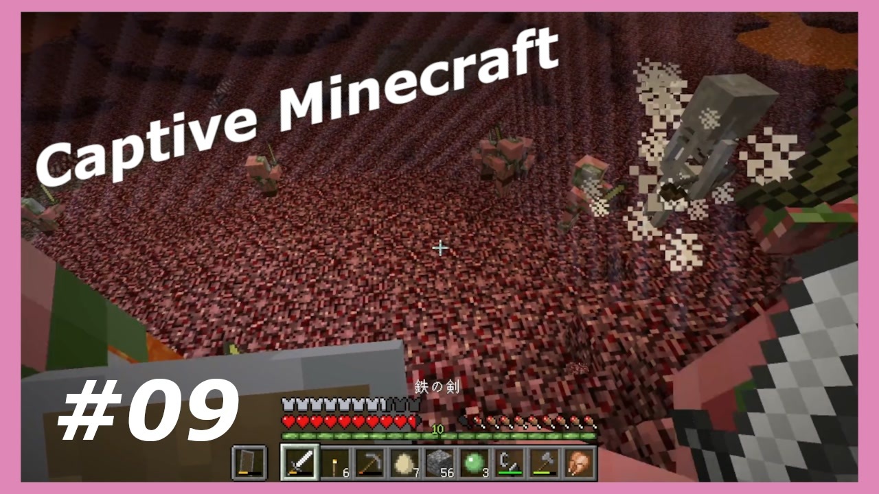 【Minecraft】 #9 スケルトン絶対許さない 【Captive Minecraft】 - ニコニコ動画