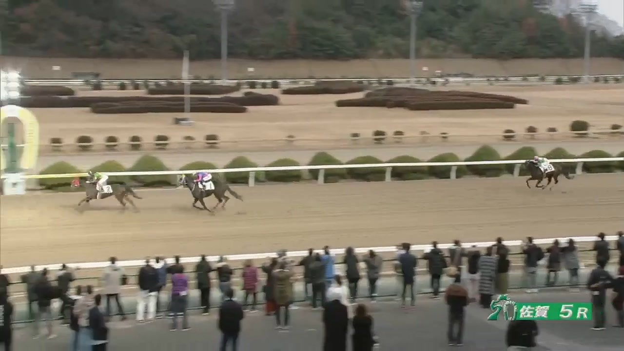 2023年1月12日佐賀競馬5R JRA交流 ノカイドウ特別(3歳九州産) セロンテソーロ - ニコニコ動画