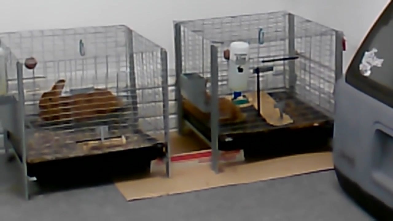 Fart DeDeDe - ニコニコ動画