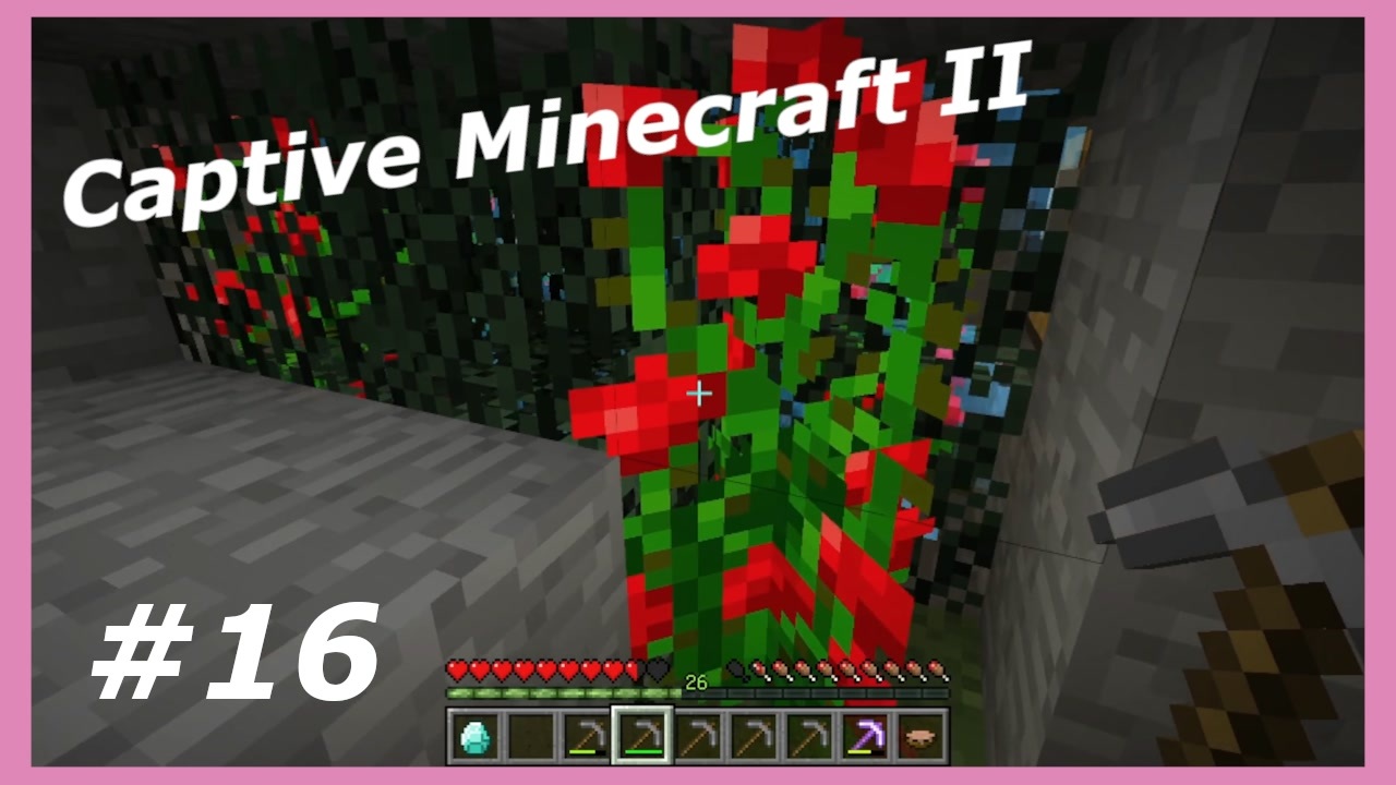 【Minecraft】 #16 謎の葉っぱとバラの空間 【Captive Minecraft II】 - ニコニコ動画