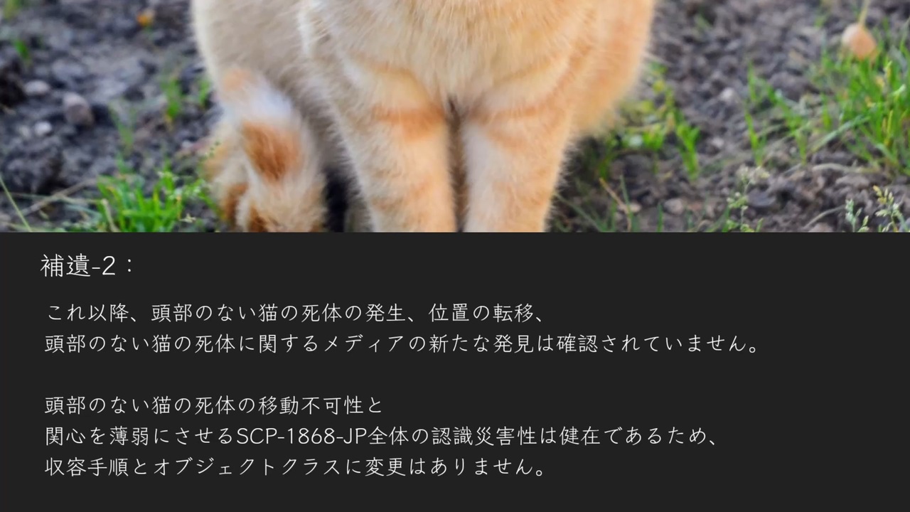 【SCP解説】SCP-1868-JP「自由になった頭部のない猫の死体たち(元々どこにも行けないし、ご近所さんは彼らに見向きもしない ...