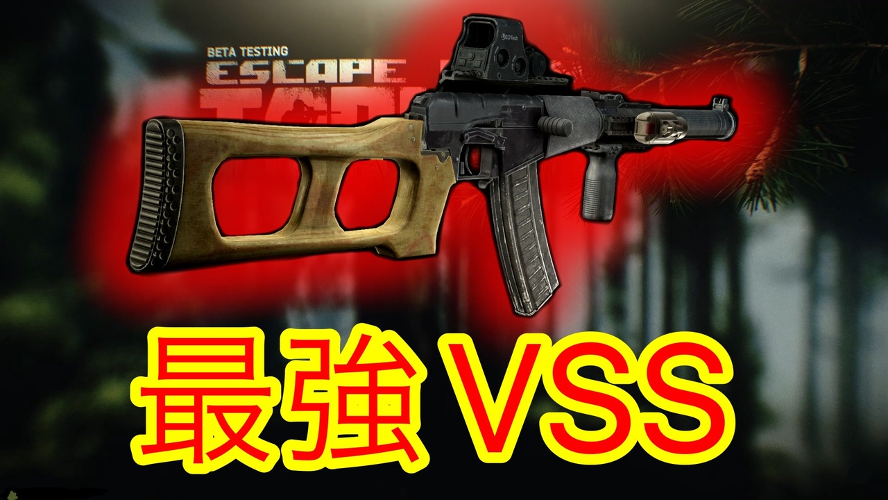 【タルコフ】究極銀河級最強ライフルVSSのアクロニムを紐解くずんだもん実況/VSS ＆ SP-6 - ニコニコ動画
