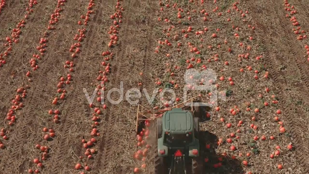 4k Tractor in Pumpkin patch - Drone Flight Dolly in Overhead - ニコニコ動画