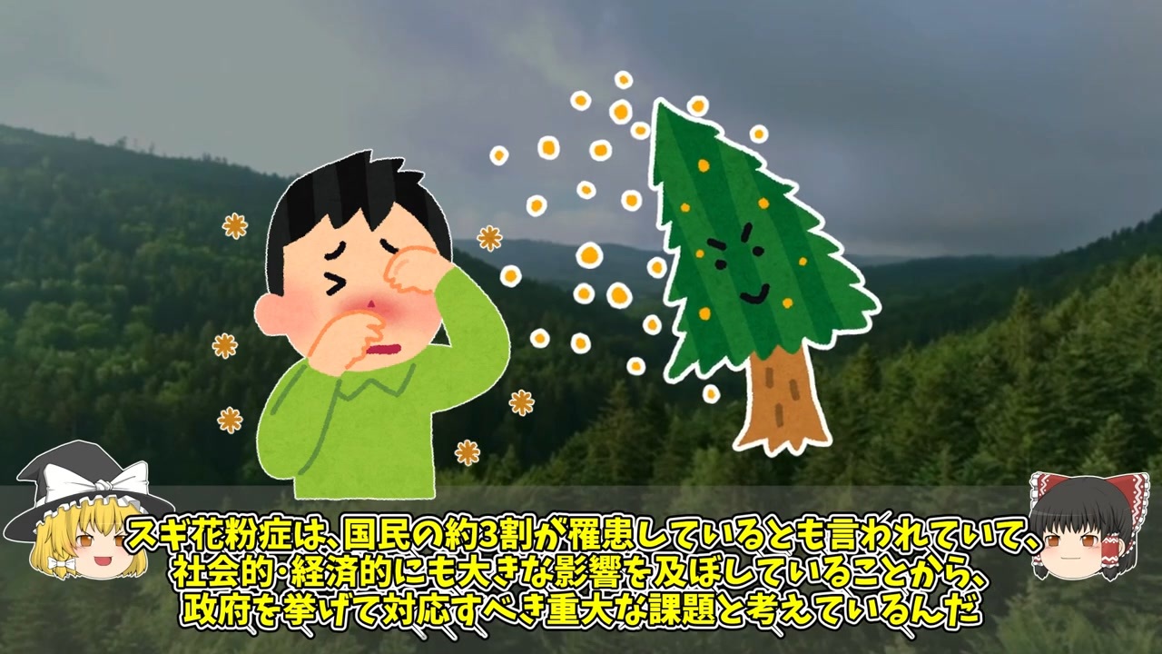 【ゆっくり解説】スギ花粉とは？？木を全部伐ったら？？【花粉症】 ニコニコ動画