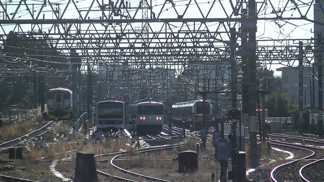 2021年の 成田臨 185系 E257系 E653 系 早春成田初詣・成田山初詣やまなし・成田山初詣ぐんま・成田山初詣横須賀・成田山初詣常磐 2021年1月10日 - ニコニコ動画