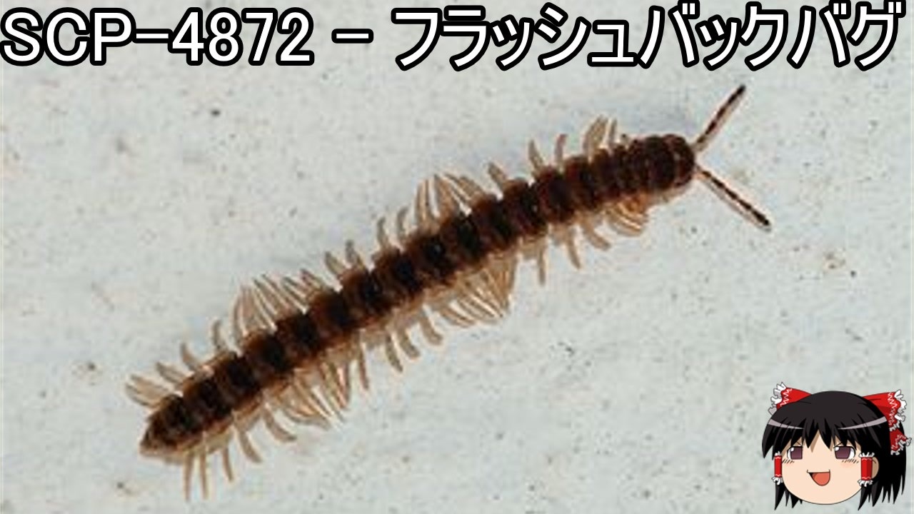 ゆっくりと一緒にSCPを紹介したい！その157【SCP】 - ニコニコ動画