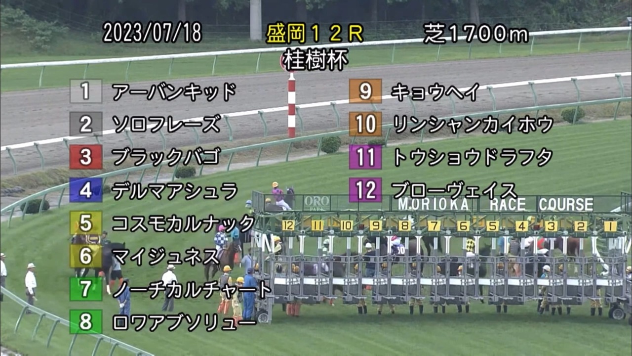 【ウマ娘風】5年ぶりの勝利(盛岡芝 準重賞桂樹杯・キョウヘイ) - ニコニコ動画