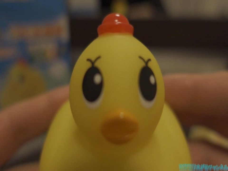 【お風呂グッズ】きき湯とアヒル隊長 大冒険セット！/ファインヒートVer.もあるよ - ニコニコ動画