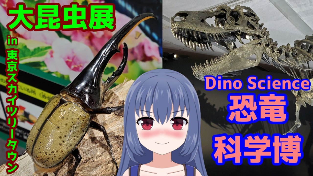 《大昆虫展》&《恐竜科学博》に行ってきました！【沙摩地リアお出かけブログ】 - ニコニコ動画