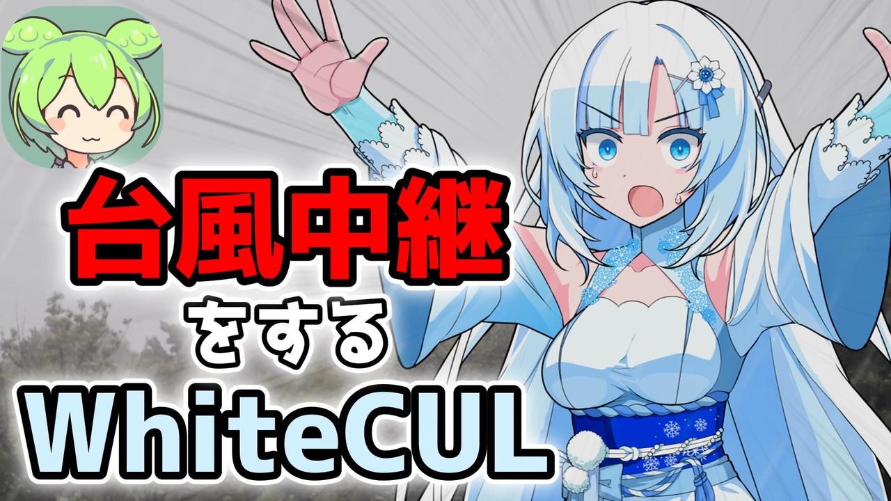 台風中継をするWhiteCUL【ずんだもんニュース】 - ニコニコ動画