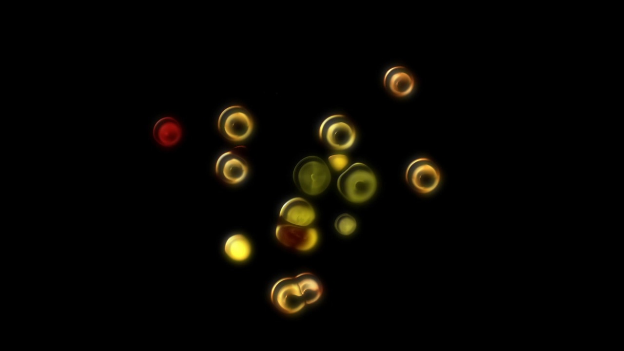 Flame Magic Core Particle - ニコニコ動画