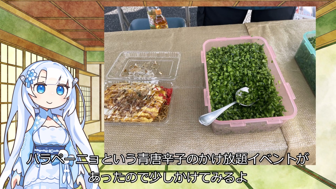 【サッカーJ3】SC相模原のスタグルをたれ流すだけの動画 - ニコニコ動画