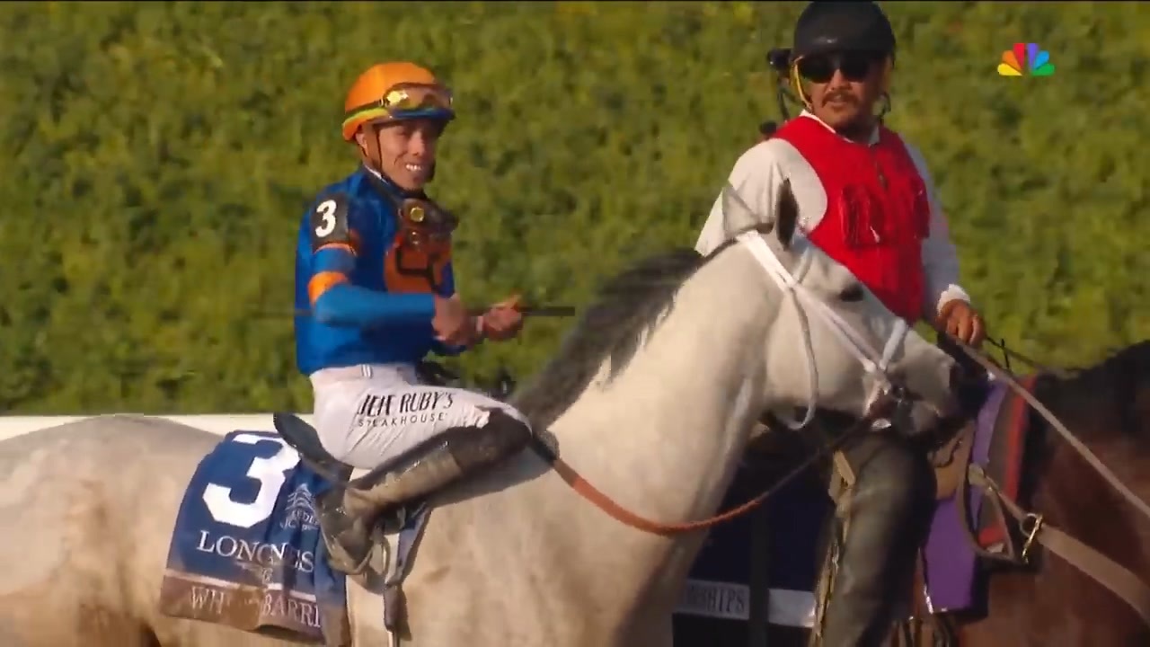 【海外競馬】2023年 G1 BCクラシック ホワイトアバリオ - ニコニコ動画