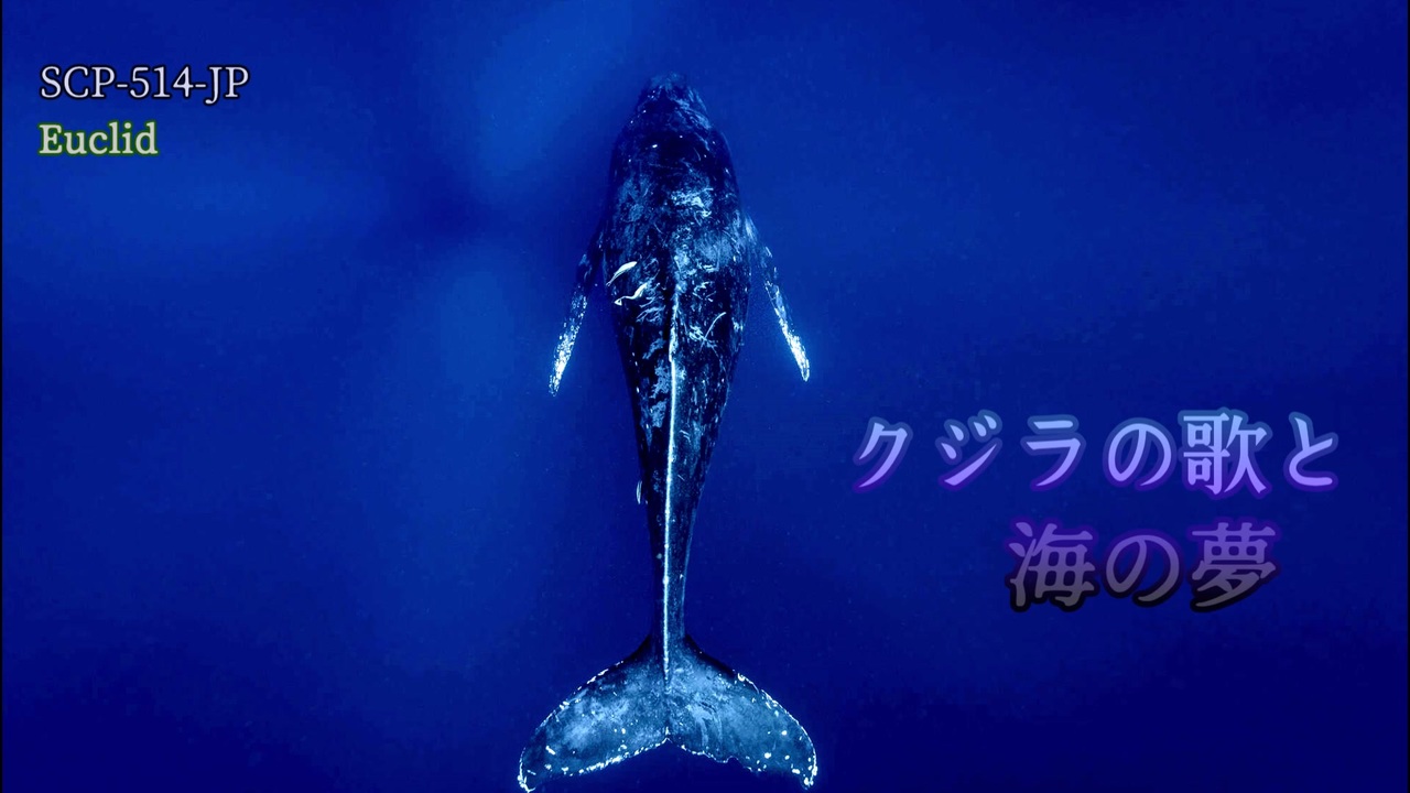 器求め彷徨う海の幻想 SCP-514-JP【VOICEVOX解説】 - ニコニコ動画