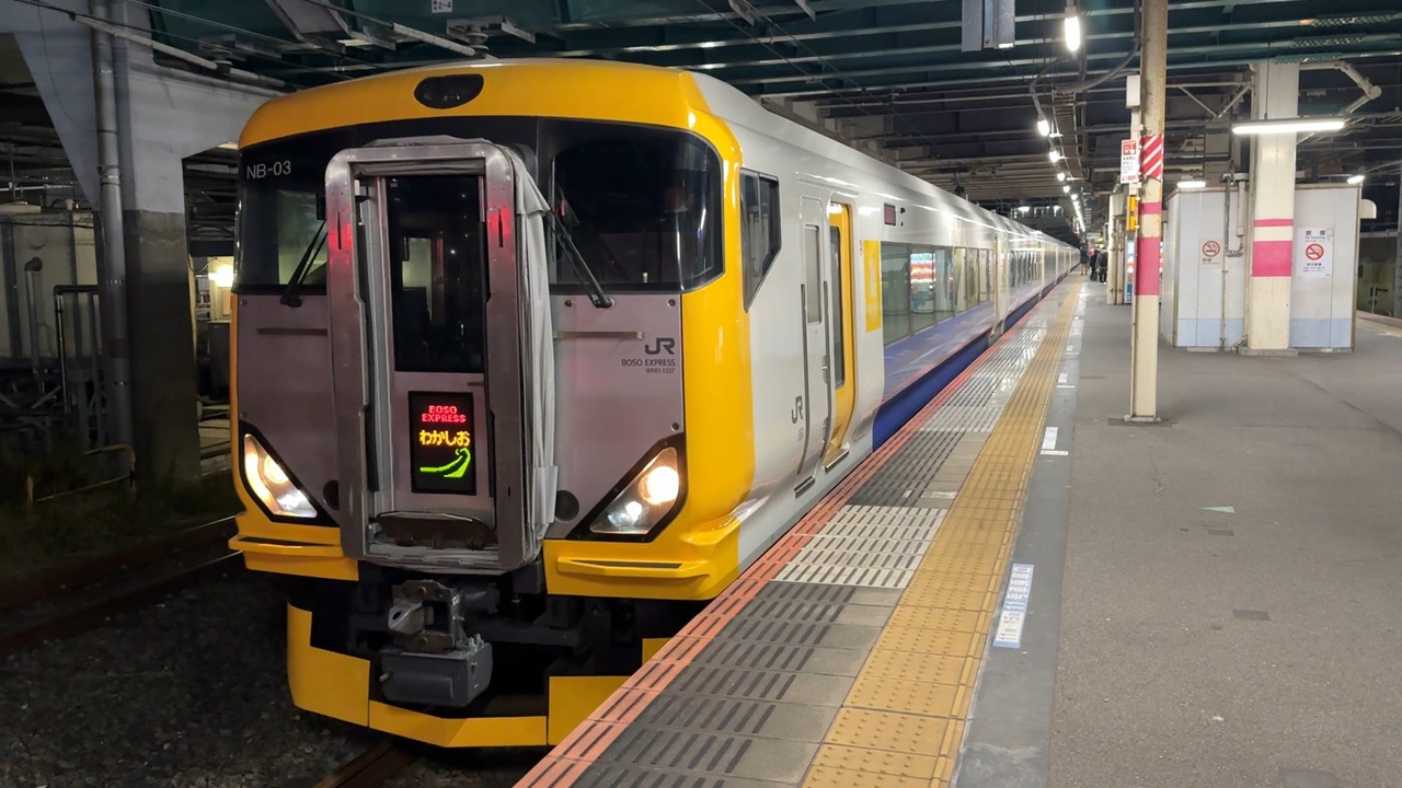 E257系500番台NB-03編成+NB-04編成 わかしお15号 蘇我駅5番線発車 - ニコニコ動画