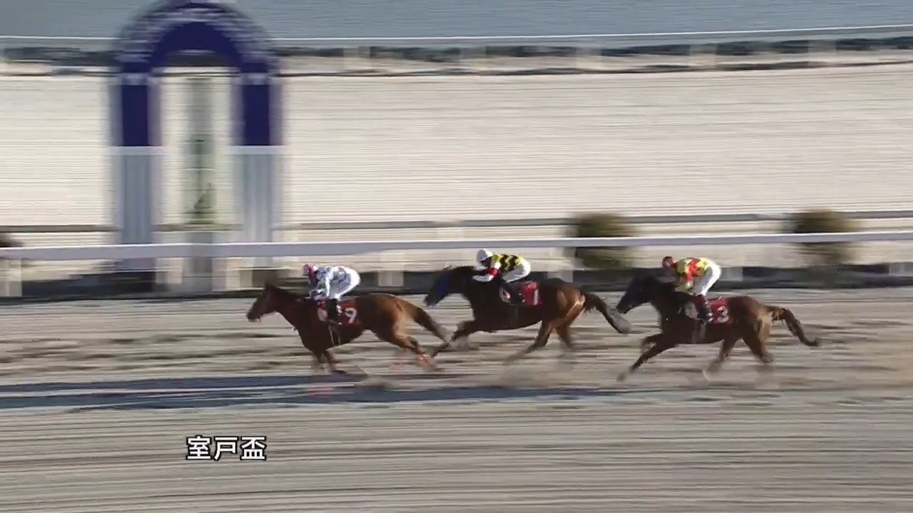 2024年1月23日高知競馬3R JRA交流競走 室戸盃(JRA3歳未勝利・3歳C3以下) ブライトアゲイン - ニコニコ動画
