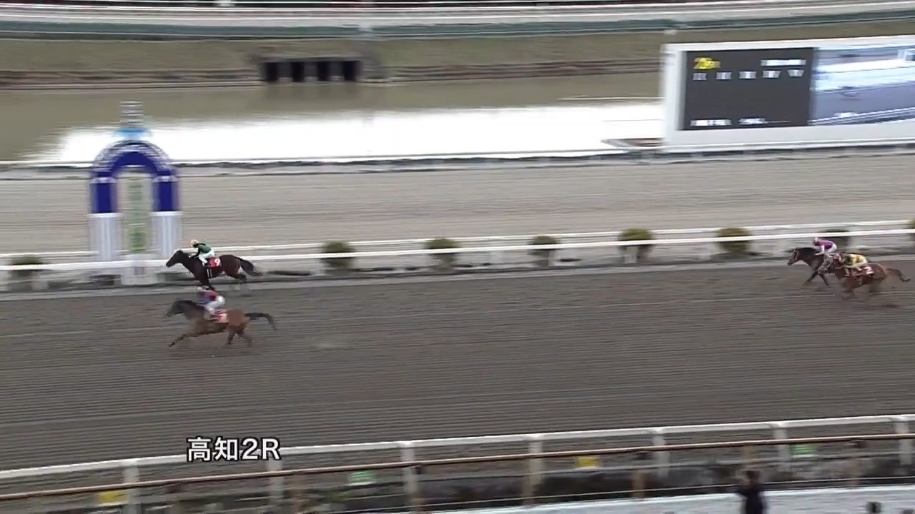 2024年2月7日高知競馬2R JRA交流競走 足摺盃(JRA3歳未勝利・3歳C3以下) シンメデージー - ニコニコ動画