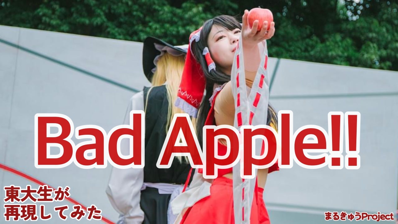 【東大生が】Bad Apple!! 【再現してみた】 - ニコニコ動画