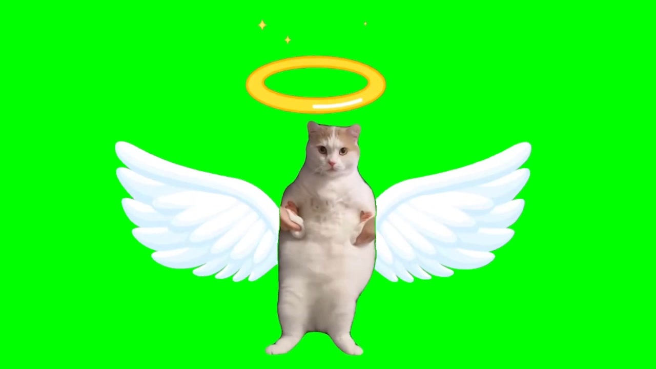 天に召されるネコ GB cat angel Green Screen #catmemes #猫ミーム #猫マニ - ニコニコ動画