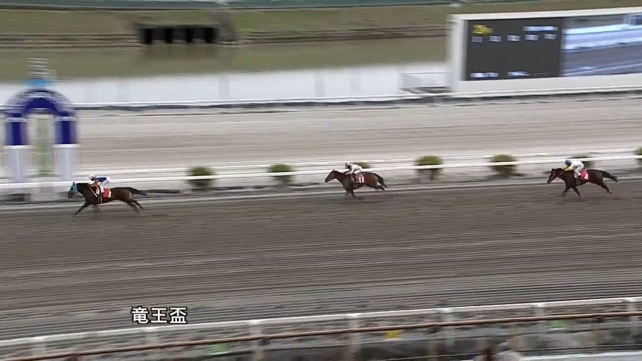 2024年2月28日高知競馬2R JRA交流競走 竜王盃(JRA3歳未勝利・3歳C3以下) ホーリーバローズ - ニコニコ動画