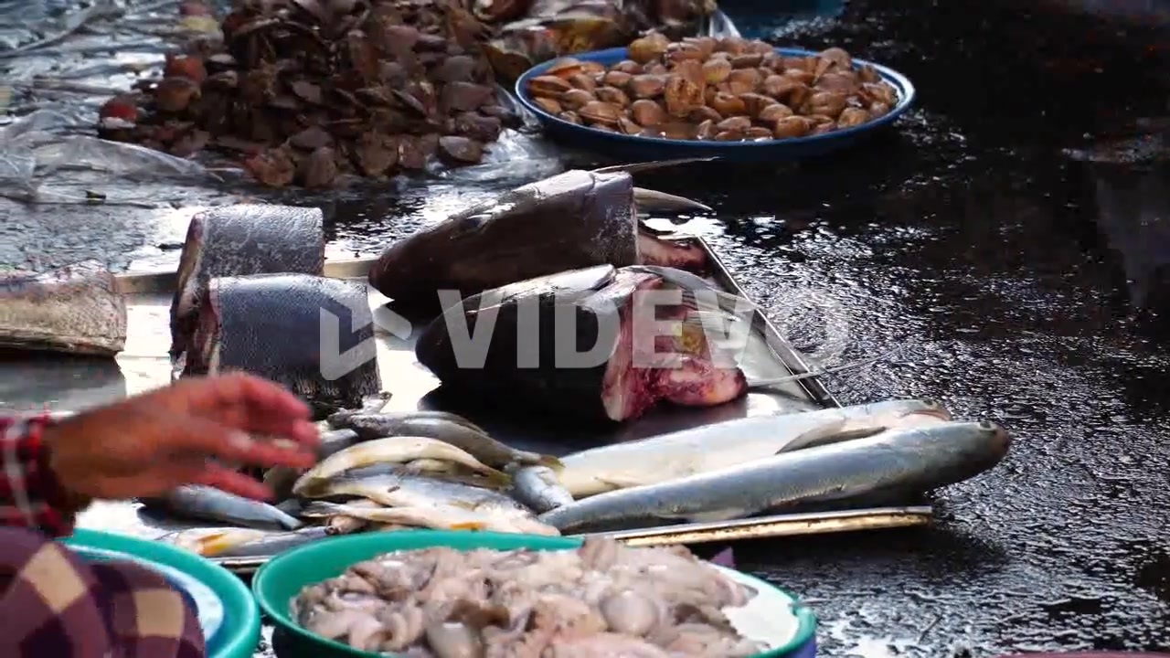 Fresh fish being sold on asphalt - ニコニコ動画