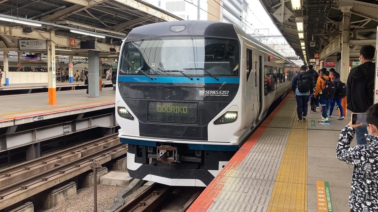 E257系特急 踊り子 横浜駅 入線～発車 - ニコニコ動画