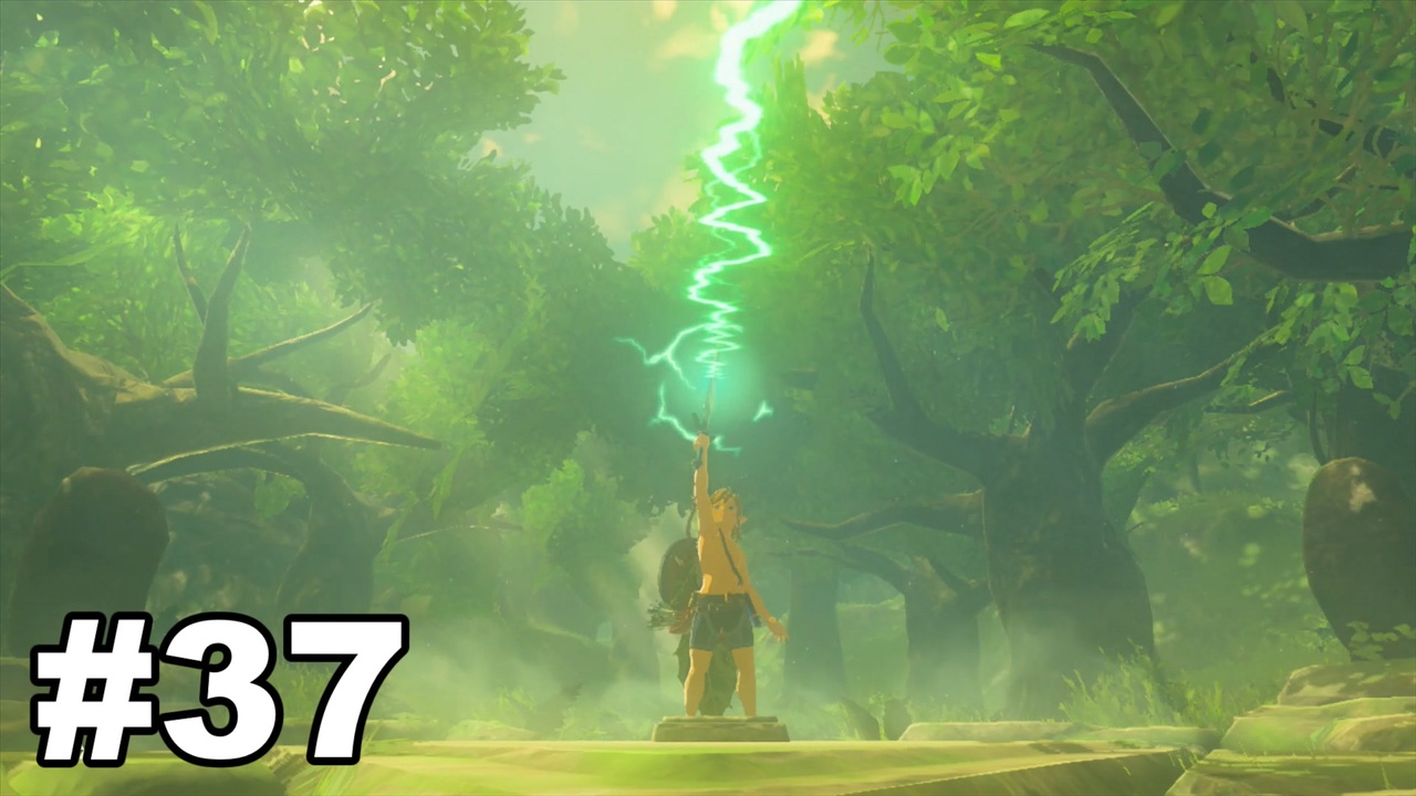 【ゆっくり実況】ゼルダの伝説BotW 4縛り#37 - ニコニコ動画
