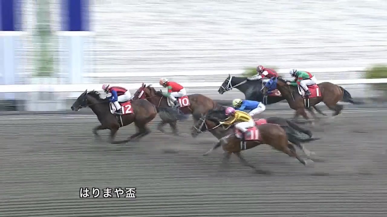 2024年3月26日高知競馬4R JRA交流 はりまや盃(JRA2勝クラス・A-2組以下) ロードシュトローム - ニコニコ動画