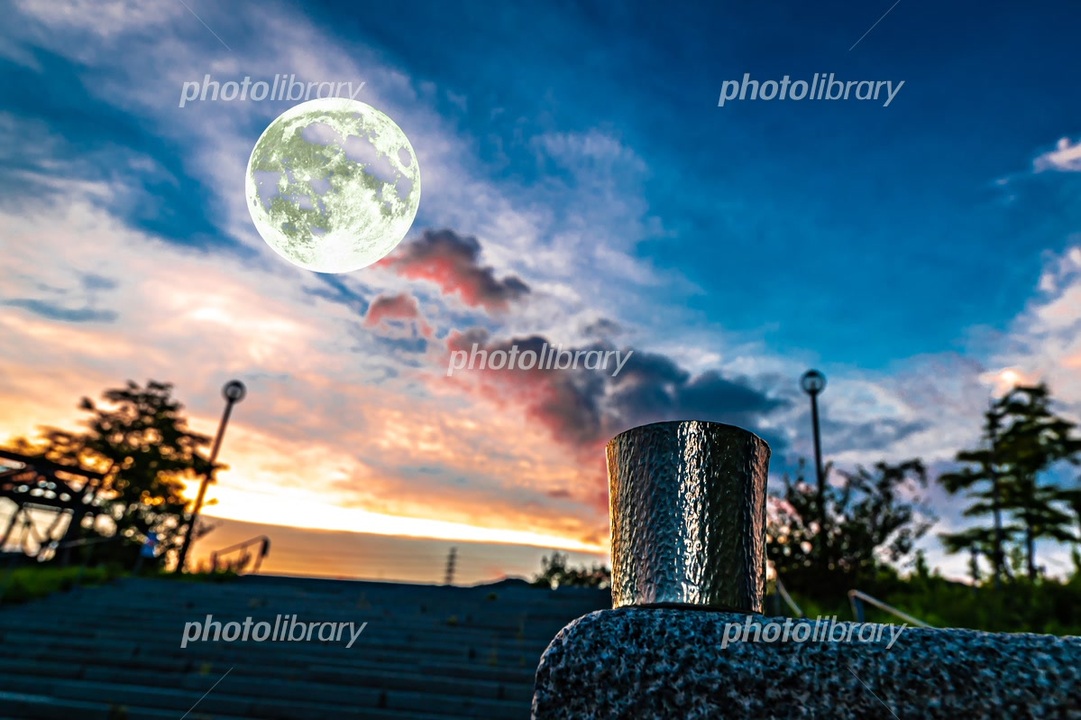 SC-9911 -nicozon - ニコニコ動画