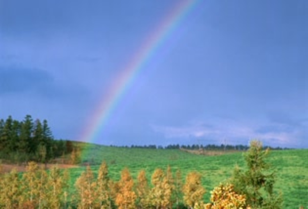 青空カケル-nicozon - ニコニコ動画