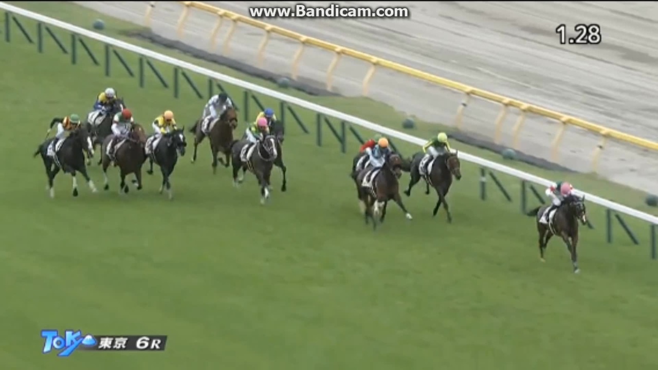 2024年5月12日 東京6R 3歳1勝クラス ショーマンフリート - ニコニコ動画