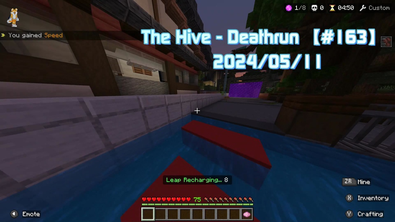 Minecraft (Nintendo Switch) Bedrock Edition Ver. 1.20.81 The Hive ...