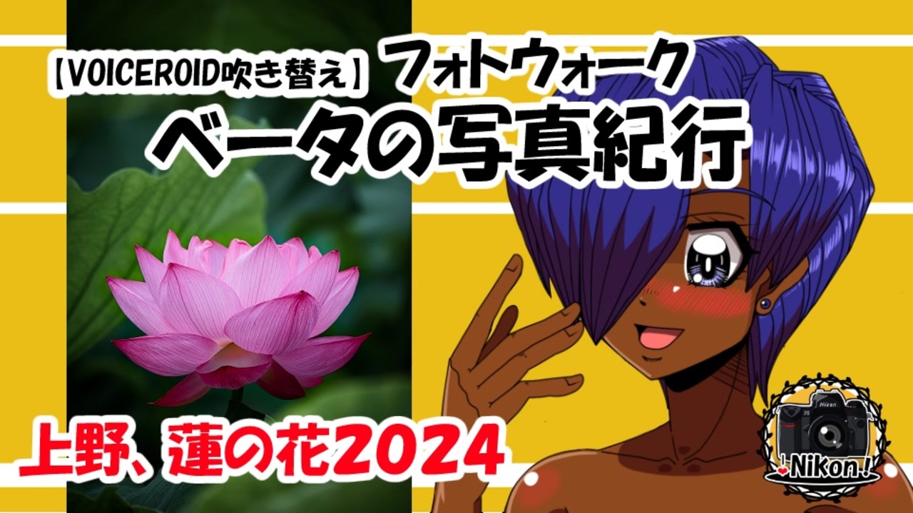 【VOICEROID吹き替え】ベータの写真紀行 上野蓮の花 2024 - ニコニコ動画